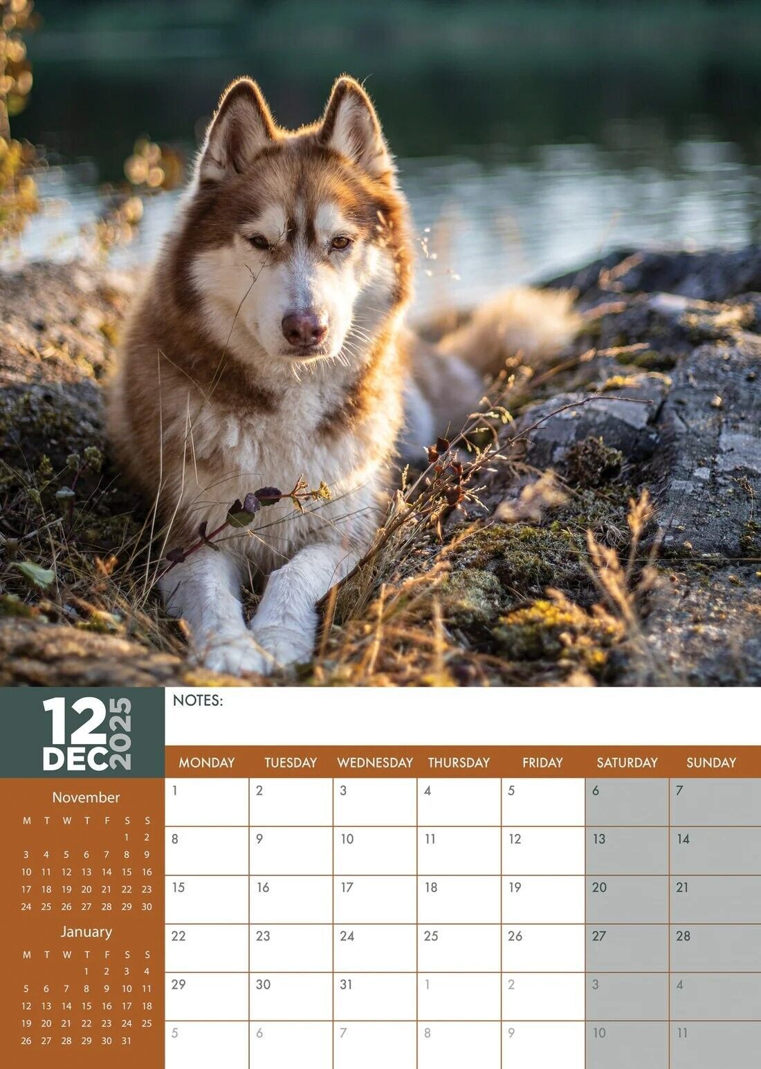 Siberian Husky Dog A3 Calendar 2025 - Month To View - Travel - Calendars