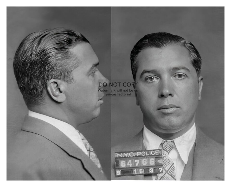 JOE ADONIS CRIME MOB BOSS MUGSHOT COSA NOSTRA CRIME FAMILY 8X10 PHOTO ...