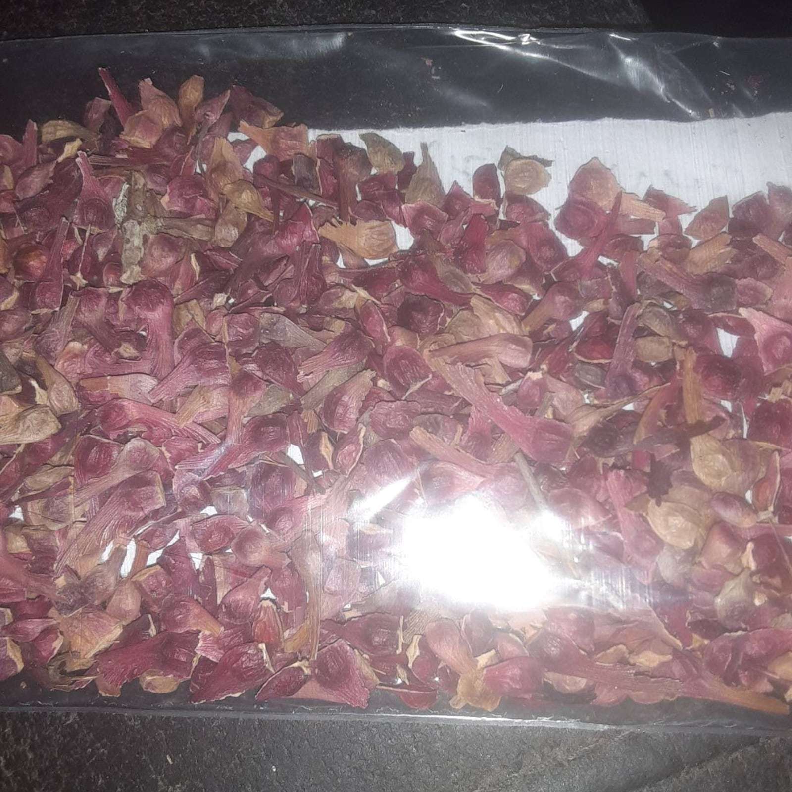 Red Leaf Japanese Maple Tree Seeds Acer Palmatum Atropurpureum Fresh ...