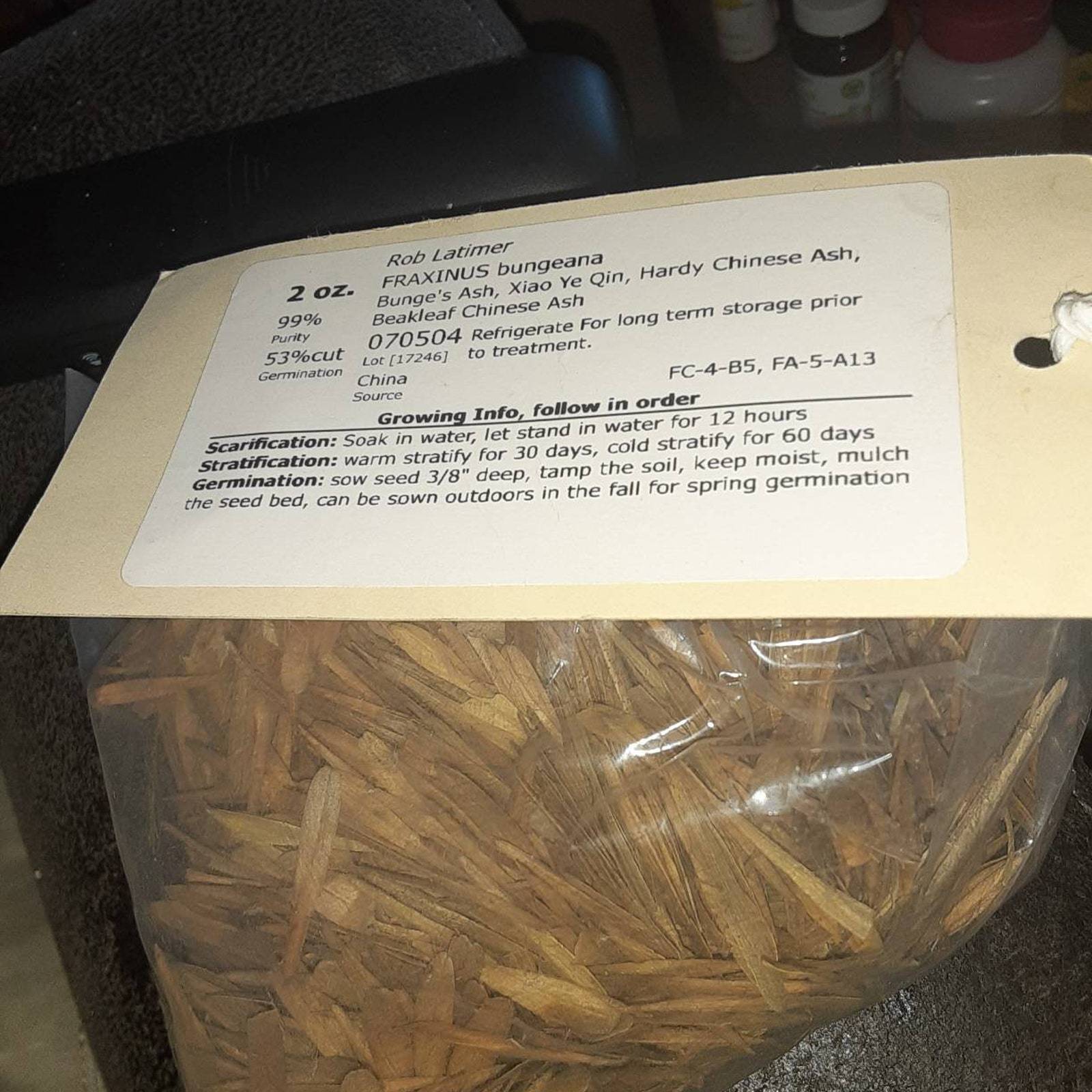 Hardy Chinese Ash Tree Seeds Fraxinus Bungeana Beakleaf Chinese Ash ...