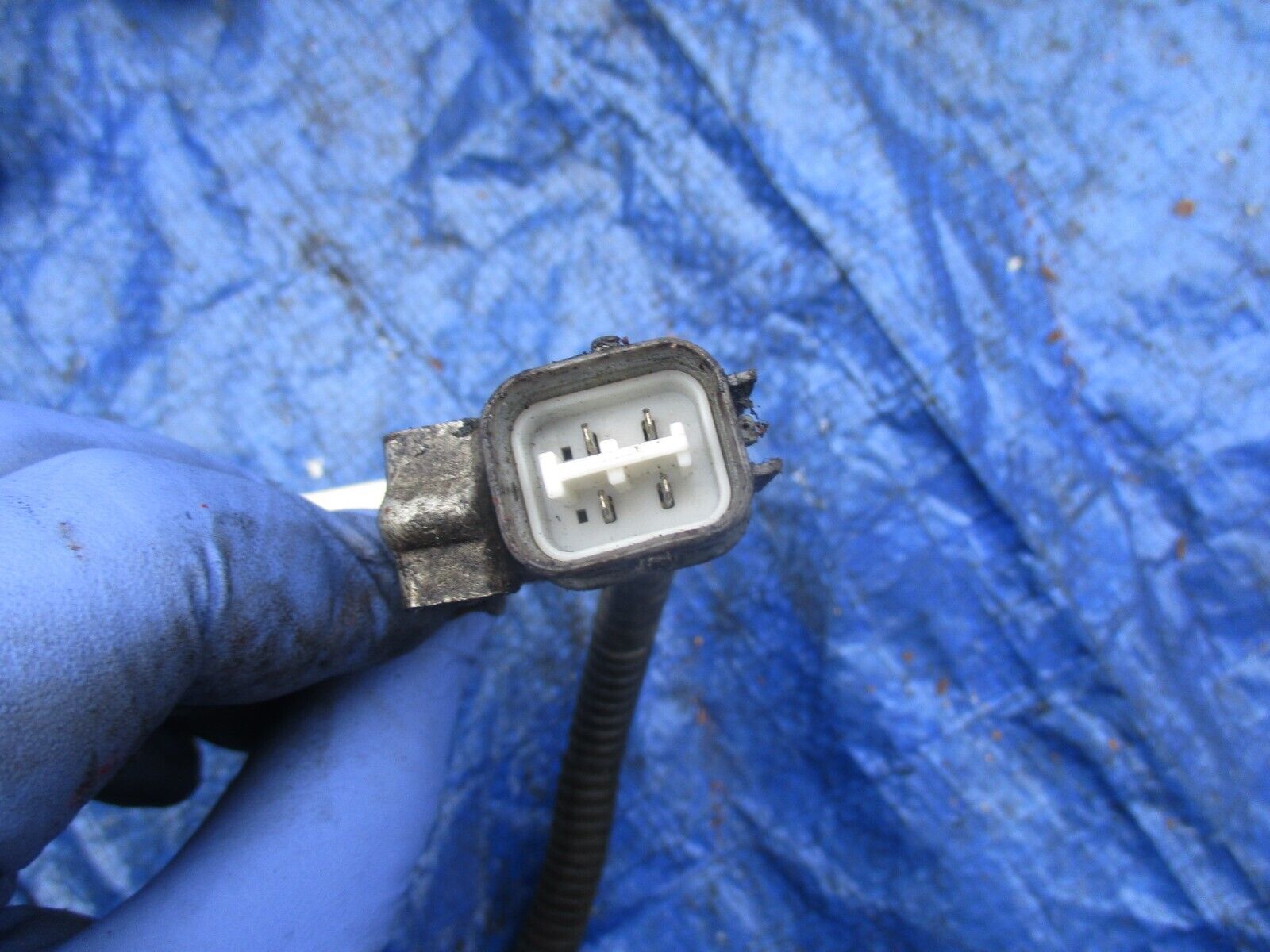 97-01 Honda Prelude crank angle sensor engine motor OEM H22 H22A H22A4 ...