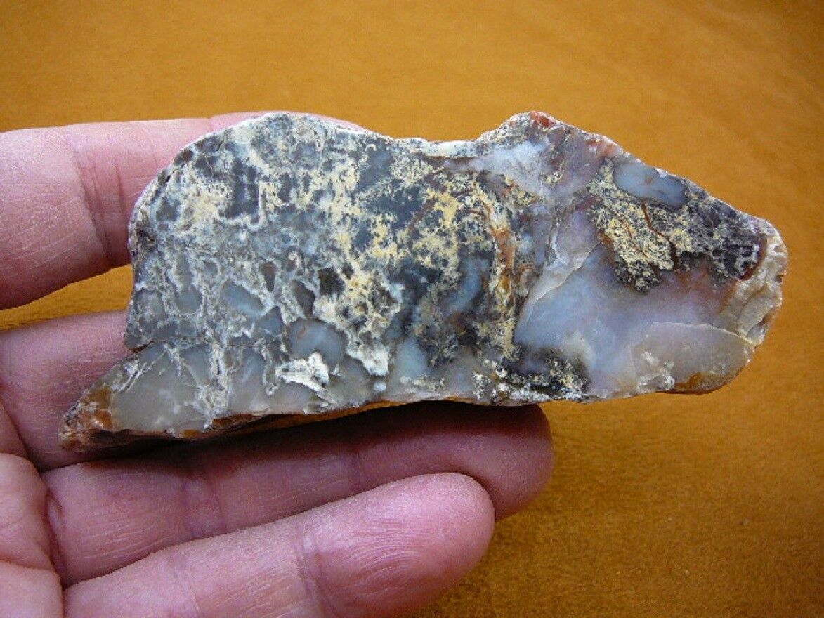 (DF703-10) 6 Oz Fossil Real Dinosaur Poop and 27 similar items