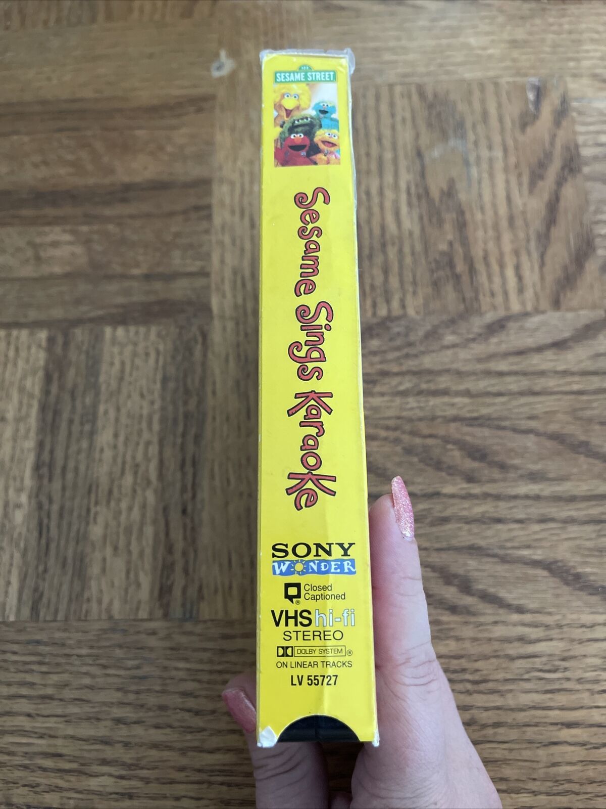 Sesame Street Sings Karaoke VHS - VHS Tapes