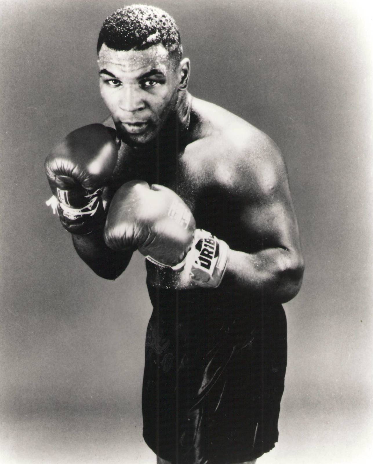 Mike Tyson 8x10 photo professional boxer - Pose B - Photographs