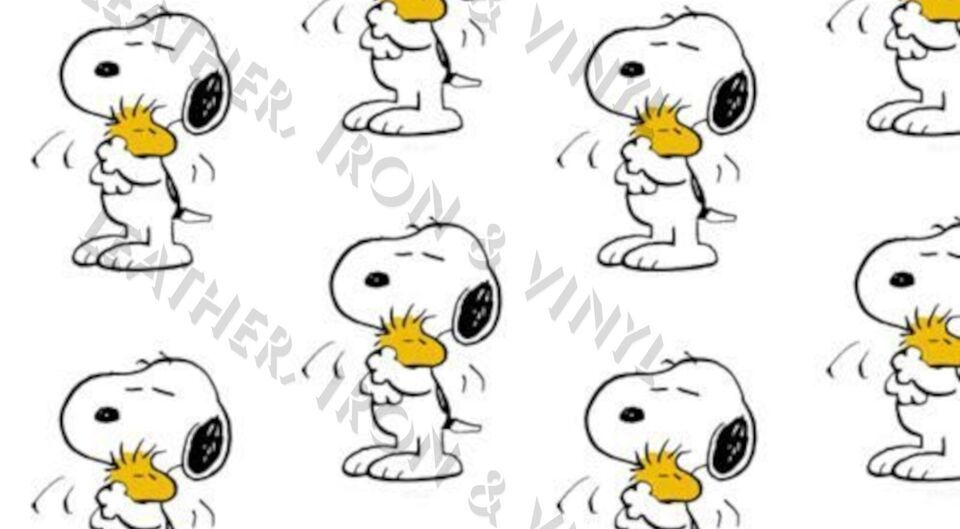 Snoopy and Woodstock Design Vinyl Checkbook and 50 similar items