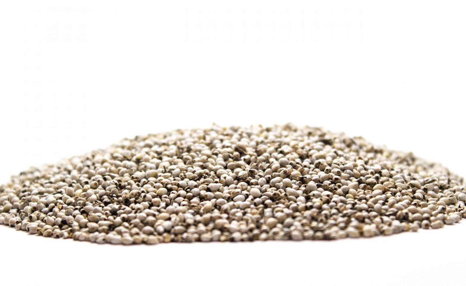 EUROPEAN GROMWELL seed Herb Tea - for urination, Lithospermum ...