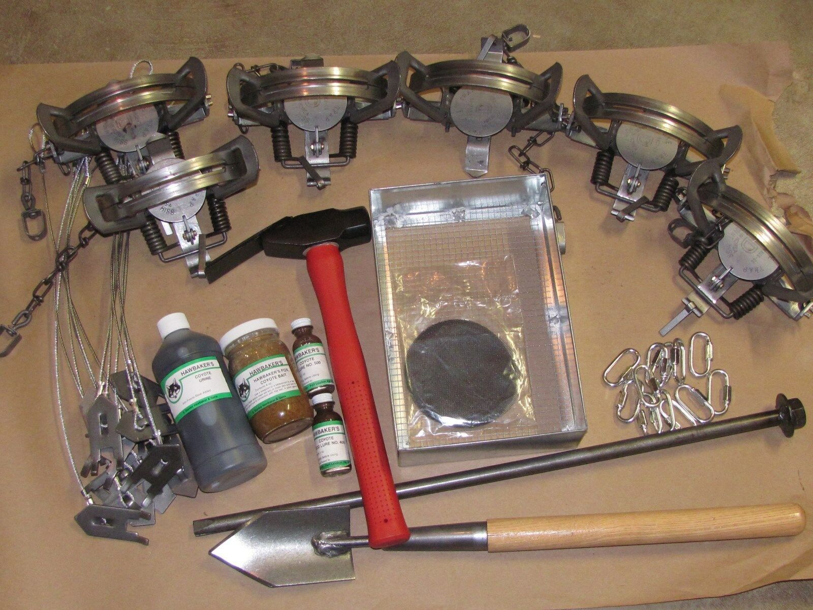 Coyote Trapping Package 6 duke#3 coilspring off set kit Fox Coyote ...