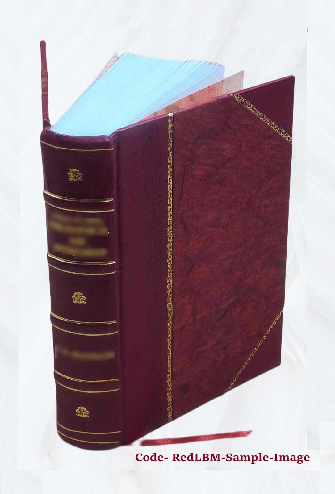 The variorum teacher's edition of the Holy Bible, containing the Old ...