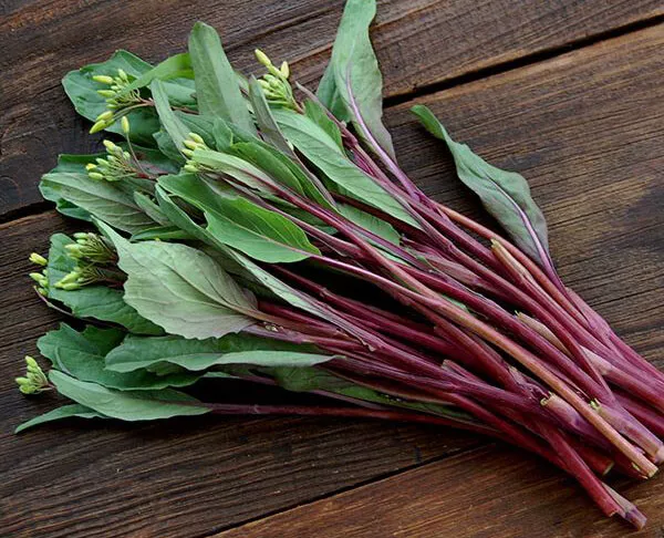200 Purple Choy Sum Fresh seed Hon-Tsai Tai Kosaitai Chinese Flowering ...