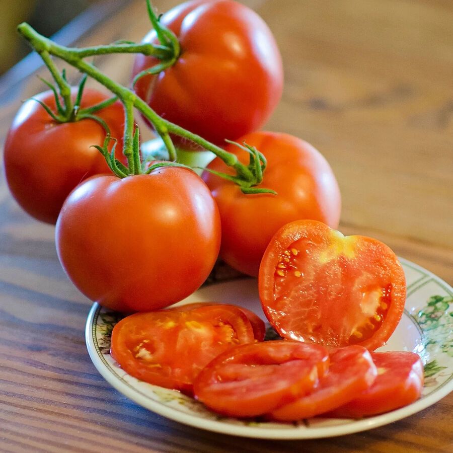 HS 50 Seeds Super Fantastic Tomato Tomatoe Vegetable Garden Edible ...
