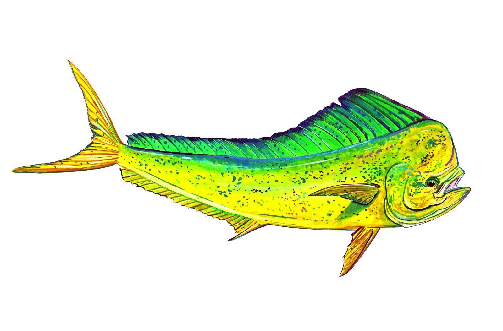 MAHI FISH DOLPHIN DORADO Vinyl Decal Sticker Truck Boat Car Cooler Cup ...
