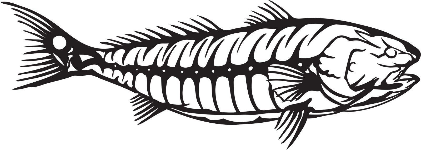 Red Drum Red Fish Skeleton Bones Decal Sticker Truck Boat Car Cooler ...