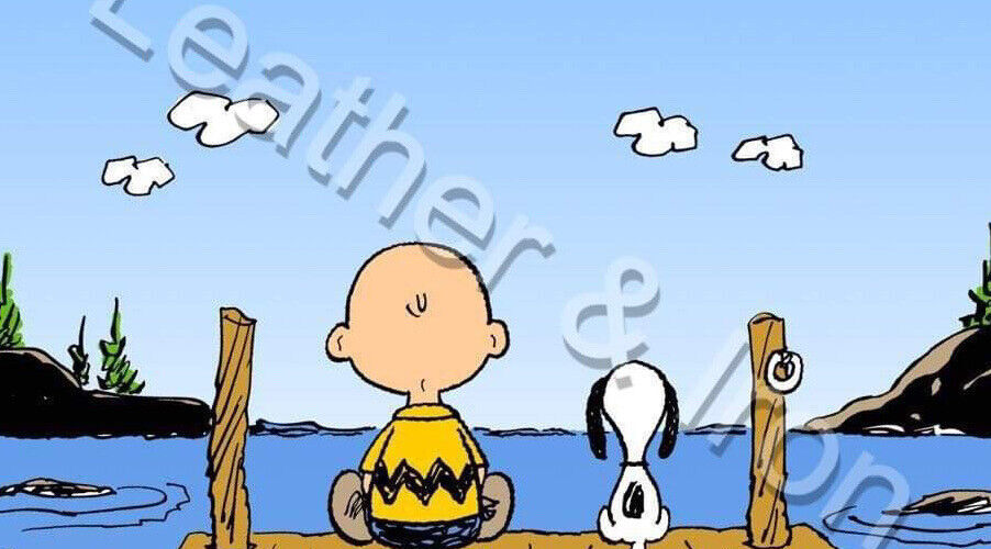 New Snoopy And Charlie Brown Design Vinyl Checkbook Cover - ID ...