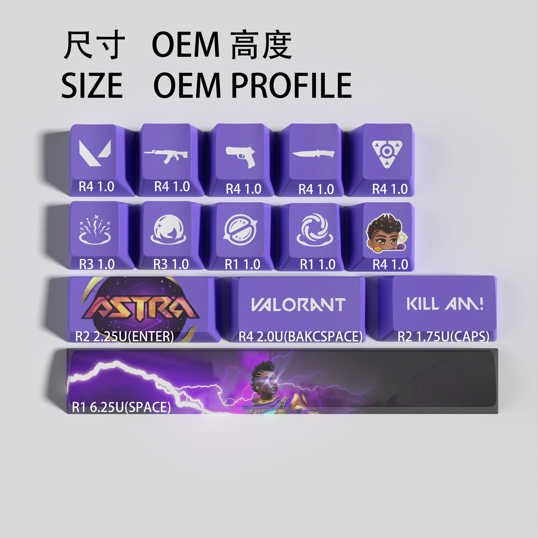 VALORANT Themed Keycaps Astra PBT heat-sublimation keycaps 14 keys OEM ...