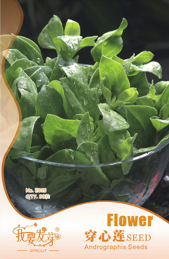 Original Pack, 30 Seeds / Pack, Andrographis Paniculata Seed Annual ...