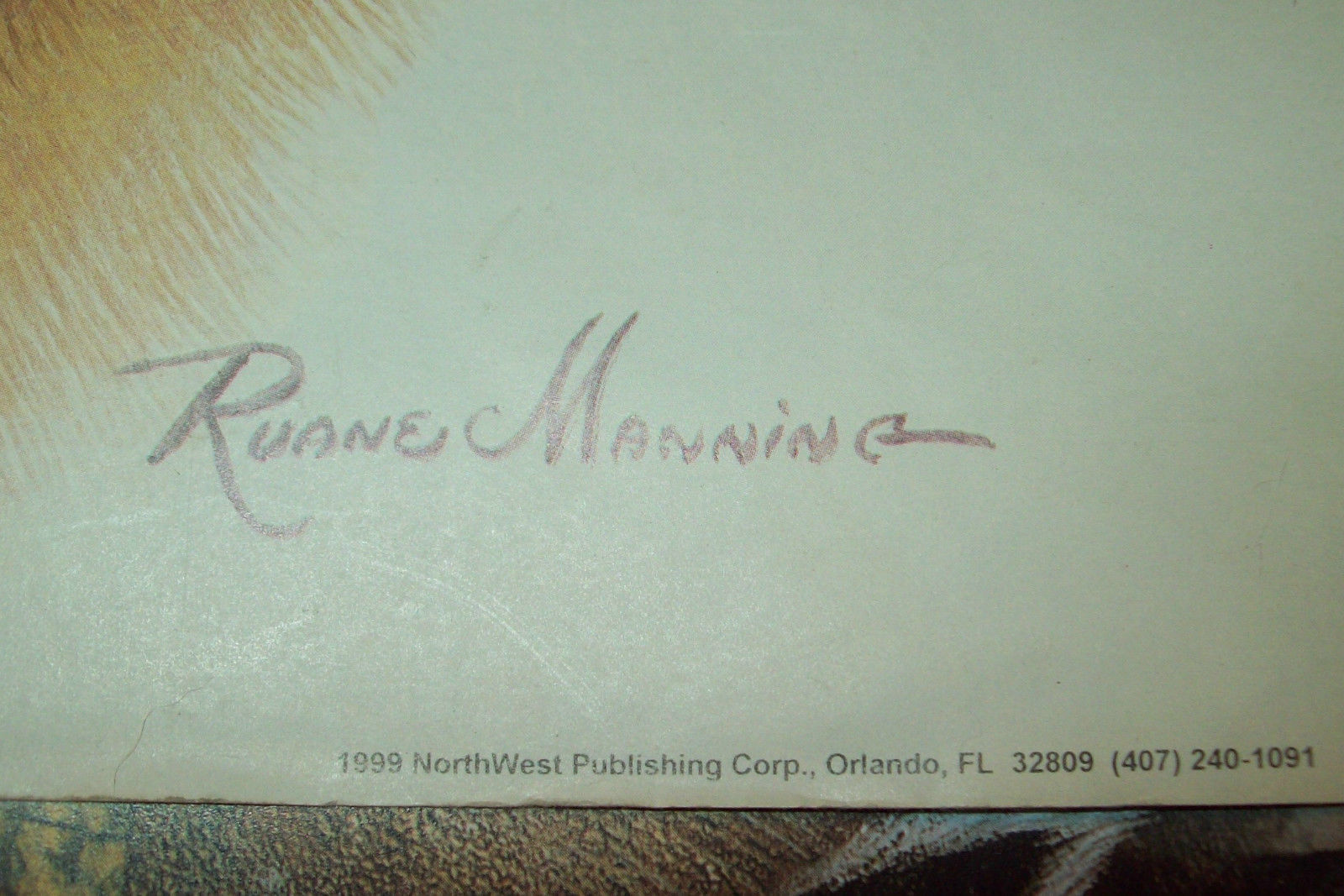Ruane Manning Deer Print 11 x 17 1999 EC and similar items