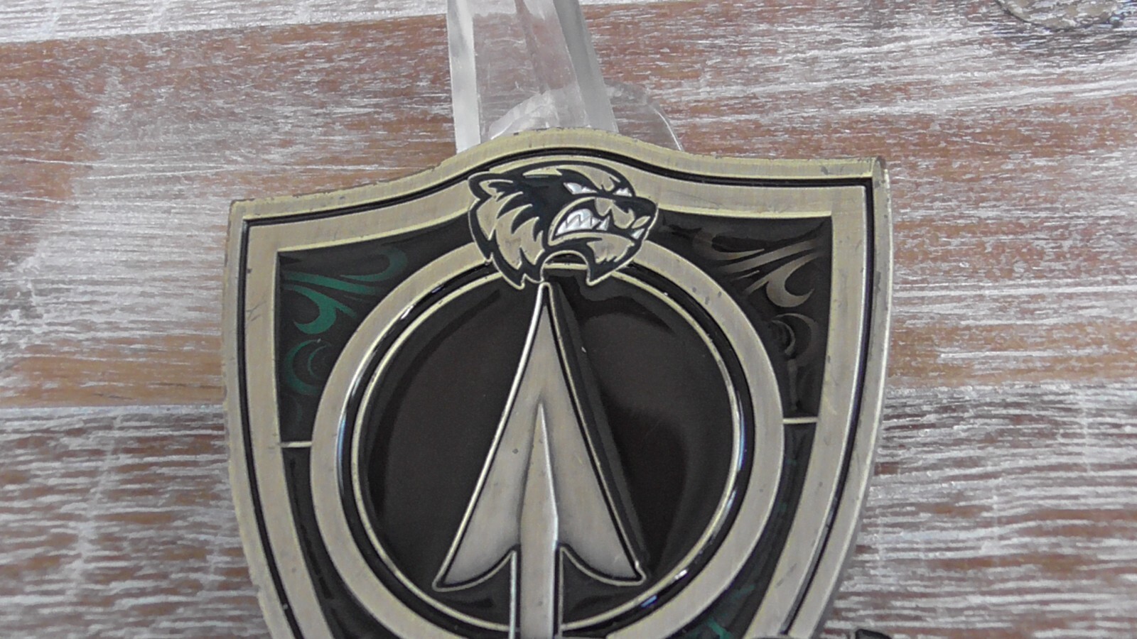 Unknown US Army ROTC Fortius Quo Scientia RAIDERS Challenge Coin #970X ...