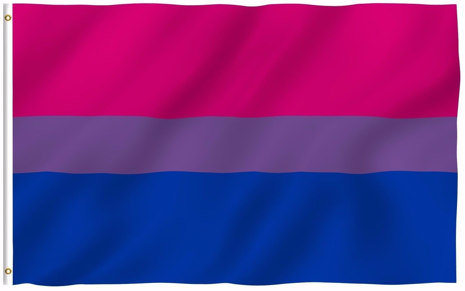 Anley Fly Breeze 3x5 Foot Bi Pride Flag Bisexual Flags Double Stitched ...