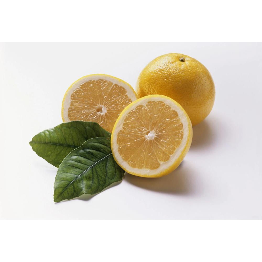 5+ White Grapefruit Seeds | Citrus Fruit Tree for Home Orchard - Seeds ...