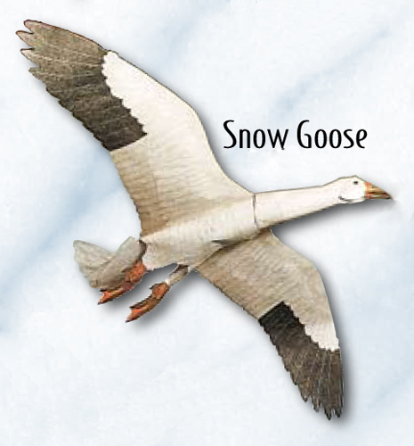 Jackite Snow Goose Decoy Kite / Windsock - Decoys