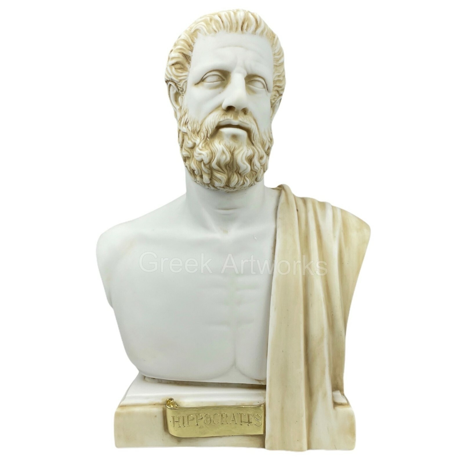 Hippocrates Father of Medicine Physician Portrait Bust Head Sculpture ...