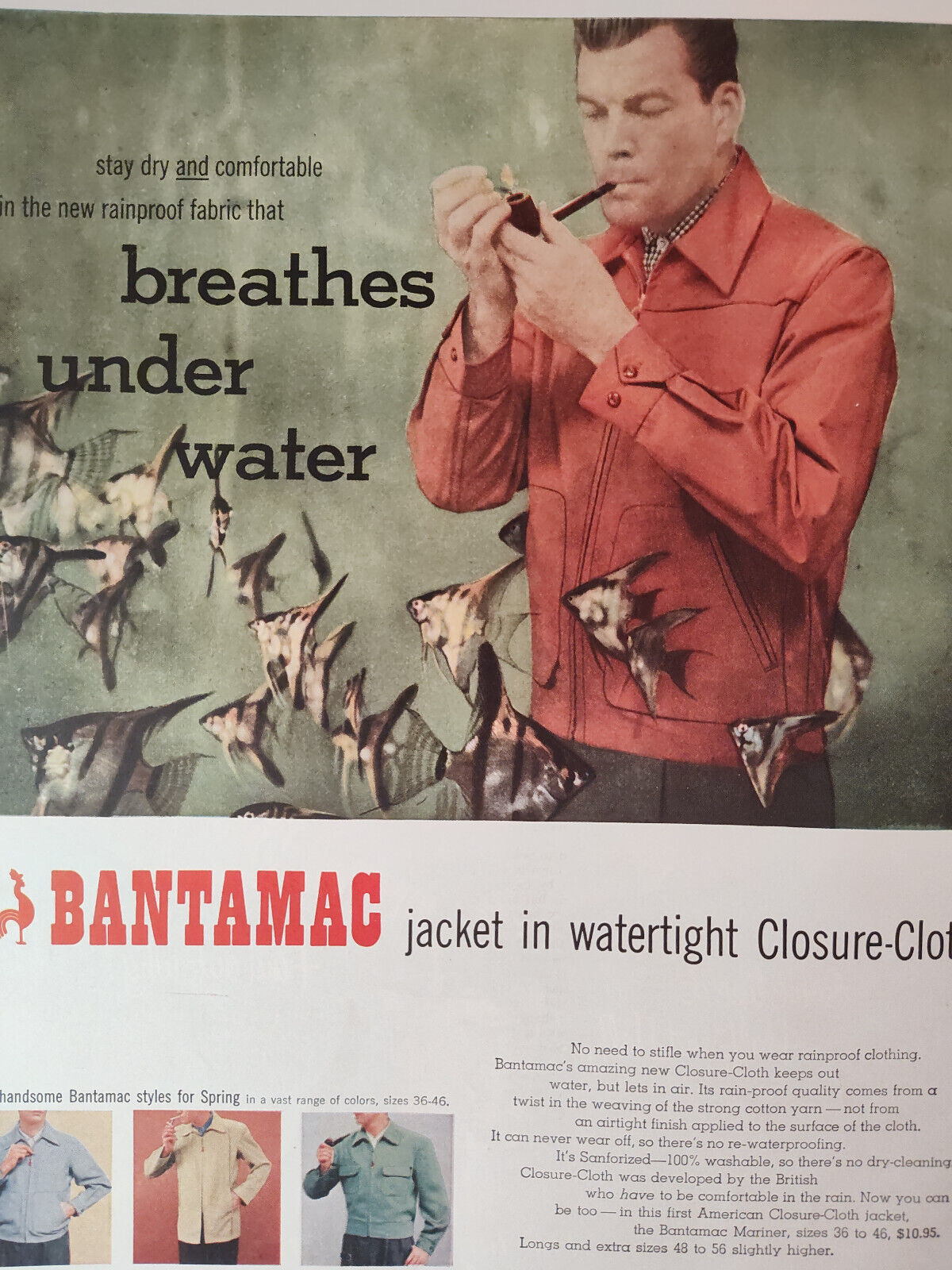1953 Esquire Original Art Ads Martini Rossi Vermouth Bantamac Jackets ...