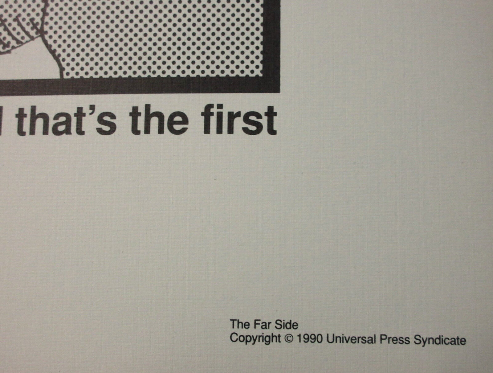 1990 Gary Larson The Far Side Poster:Original 20x17 newspaper comic ...