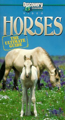 Ultimate Guide: Horses / Documentary [VHS] [VHS Tape] - Movies & TV