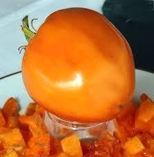 HeirloomSupplySuccess 10 Orange Ox Heart OxHeart Tomato Seeds - Seeds & Bulbs