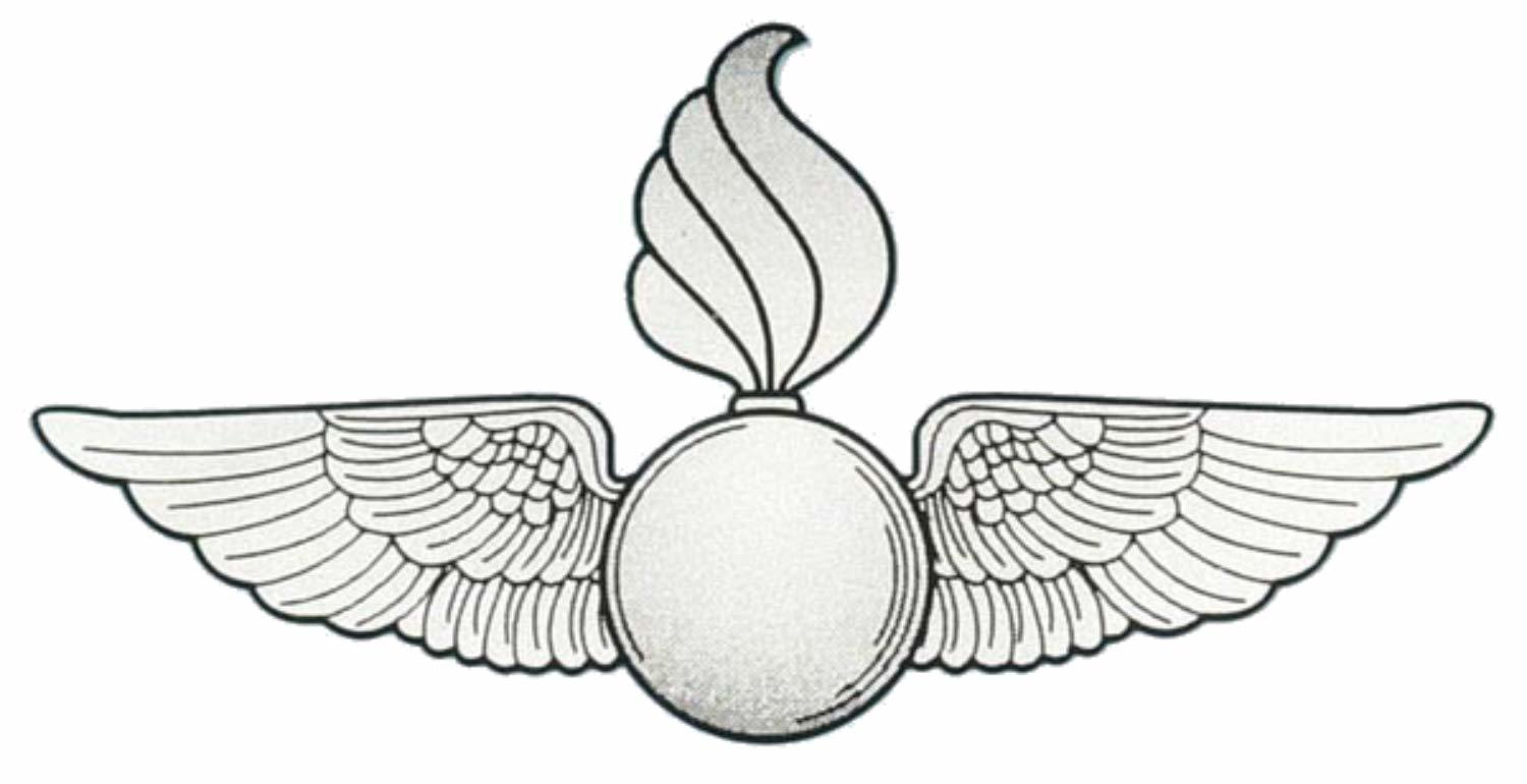 Ordnance Wings (Silver) Decal - Veteran Owned Business - Everything Else