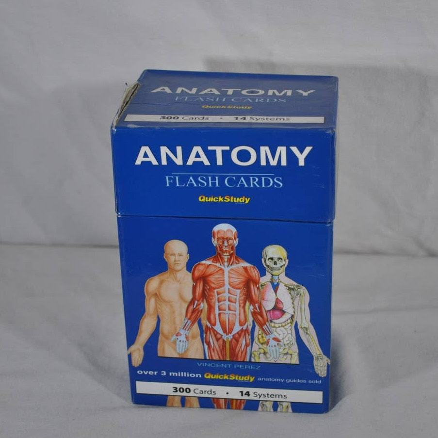 Anatomy Flash Cards by Vincent Perez and BarCharts Inc - School ...