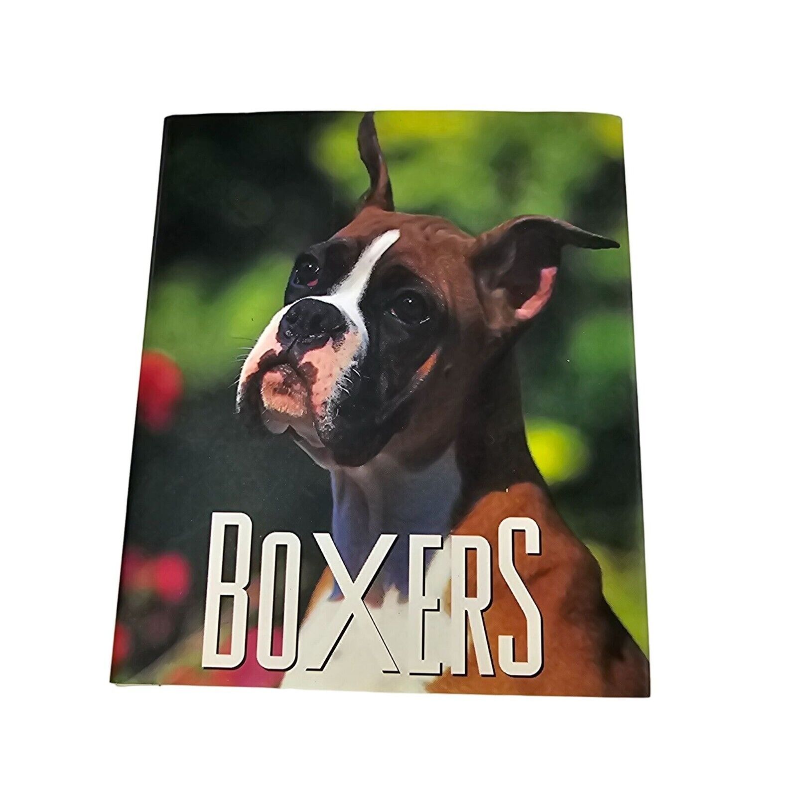 Boxers Miniature Book by Julie Mars Andrews & McMeel Gift Book - Books