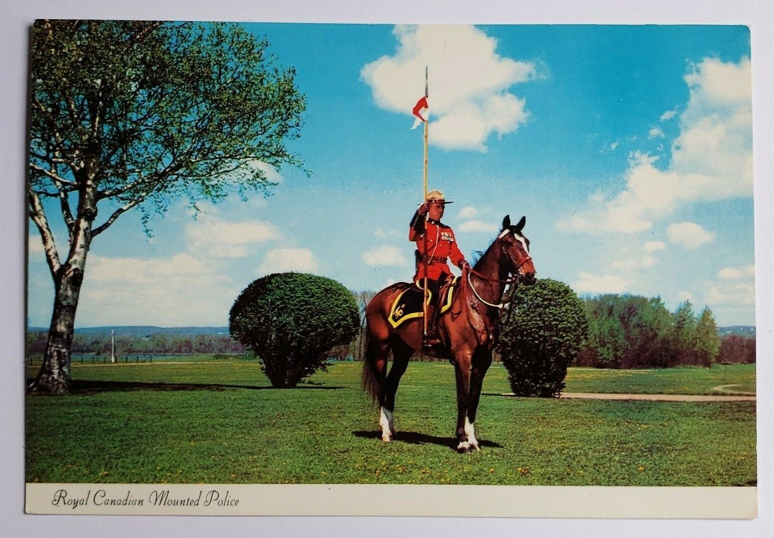 ROYAL CANADIAN MOUNTED POLICE POSTCARD CANADA VINTAGE POLICE RCMP ...