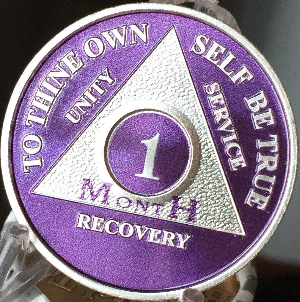 1 Month Purple Silver Plated AA Medallion 30 Day Chip - Toys & Hobbies