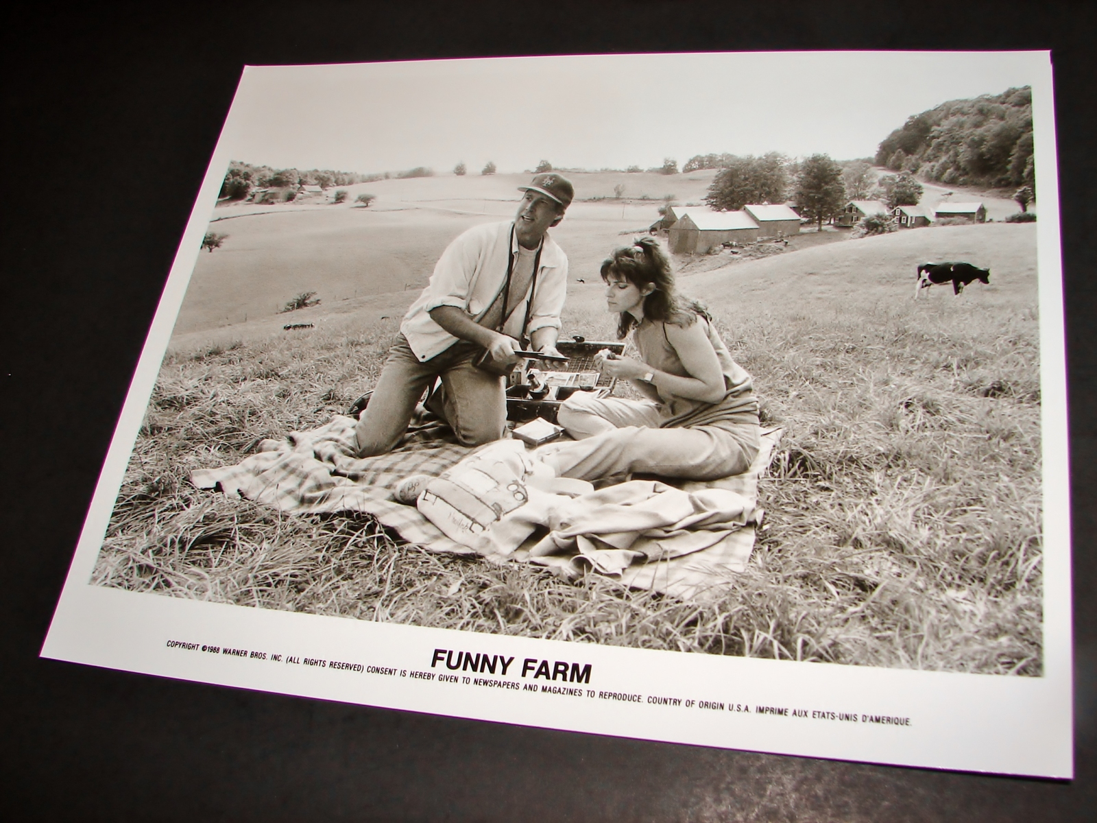 1988 FUNNY FARM George Roy Hill Movie Photo Madolyn Smith Chevy Chase ...