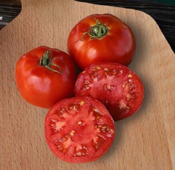 HS 50 Seeds Supersonic Tomato Tomatoe Vegetable Garden Edible Canning ...
