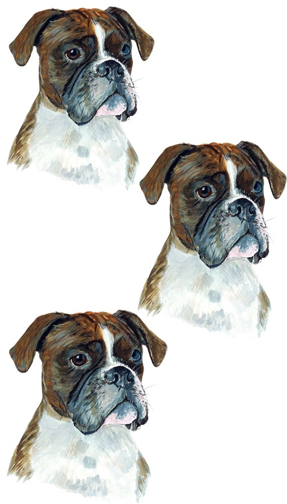 Decal Vinyl Sticker Boxer - Minis Set of 3 Printed Vinyl Decals Made in ...