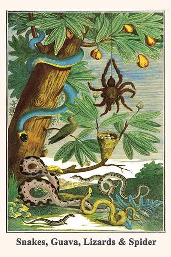 Snakes, Guava, Lizards & Spider - Home Décor
