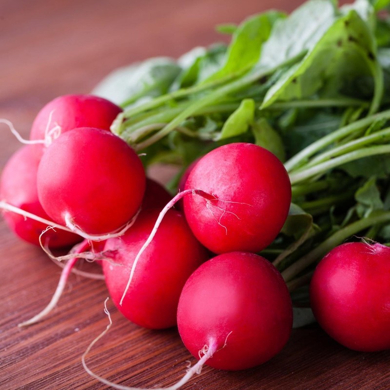 LKS Early Scarlet Globe Radish Seeds Organic Non Gmo Heirloom Home ...