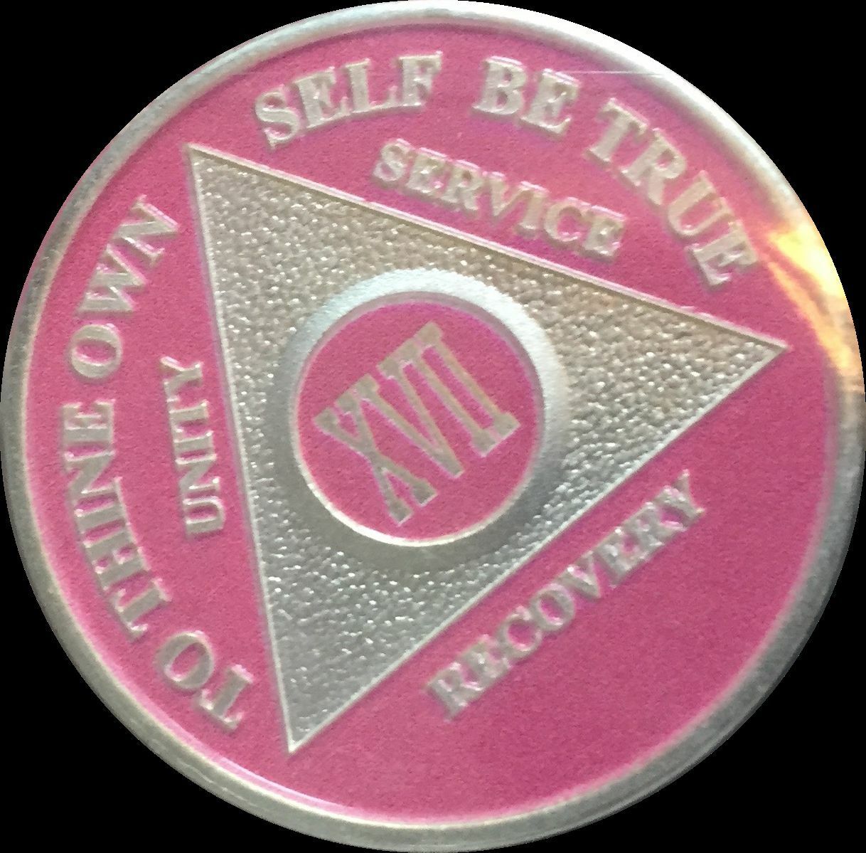 Pink & Silver Plated 17 Year AA Chip Alcoholics Anonymous Medallion ...
