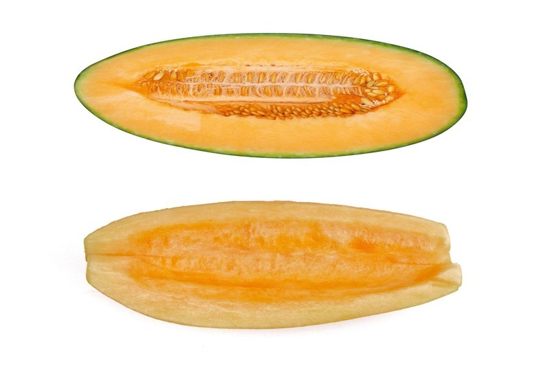 SDC 50 Banana Cantaloupe Melon Fruit Cucumis Melo Seeds Easy Grow ...