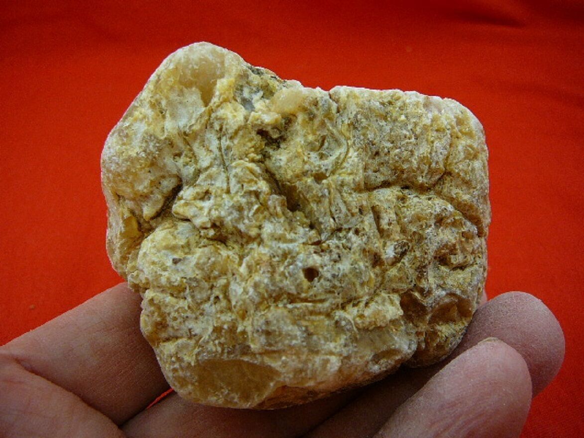 (k-2506) 95 g Rare Kauri tree Gum copal young Amber New Zealand Tane ...