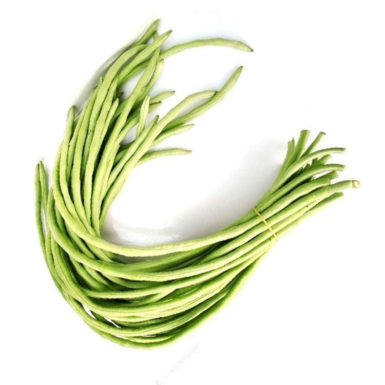 BS 20 Yard Long Bean Seeds Asian Chinese Long Bean String Beans ...