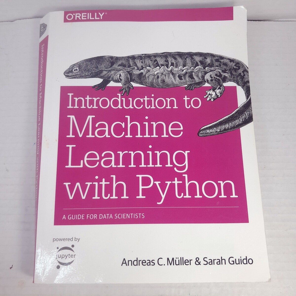 Introduction to Machine Learning with Python A Guide for Data ...