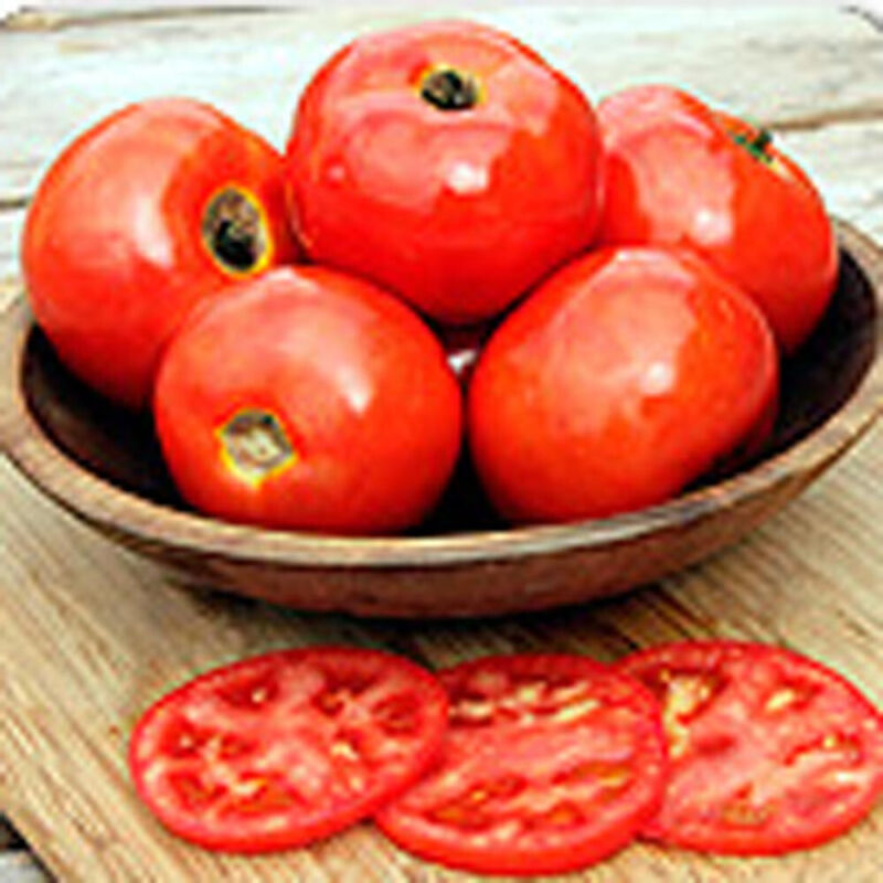 LD 50 Seeds Iron Lady Tomato Juicy Tomatoe Vegetable Edible Food Fast ...