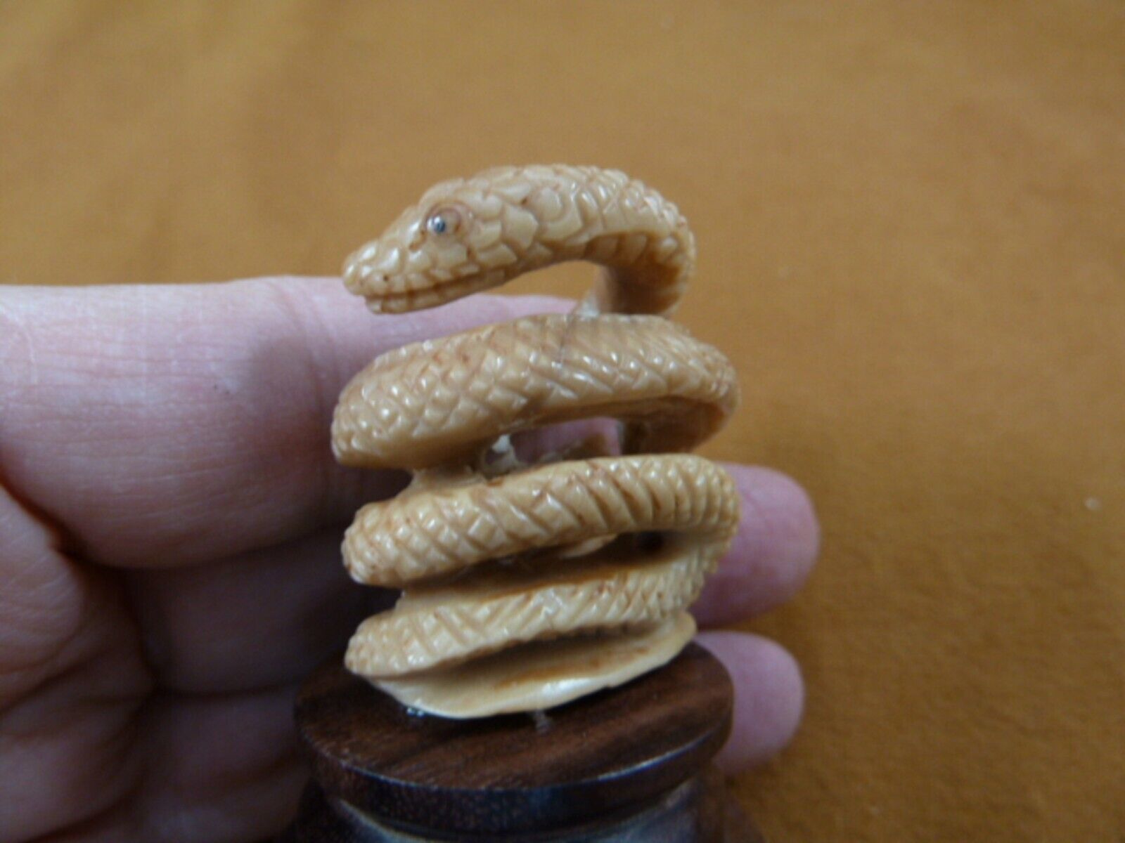 tb-snake-13 baby brown coiled standing Snake Tagua NUT palm figurine ...