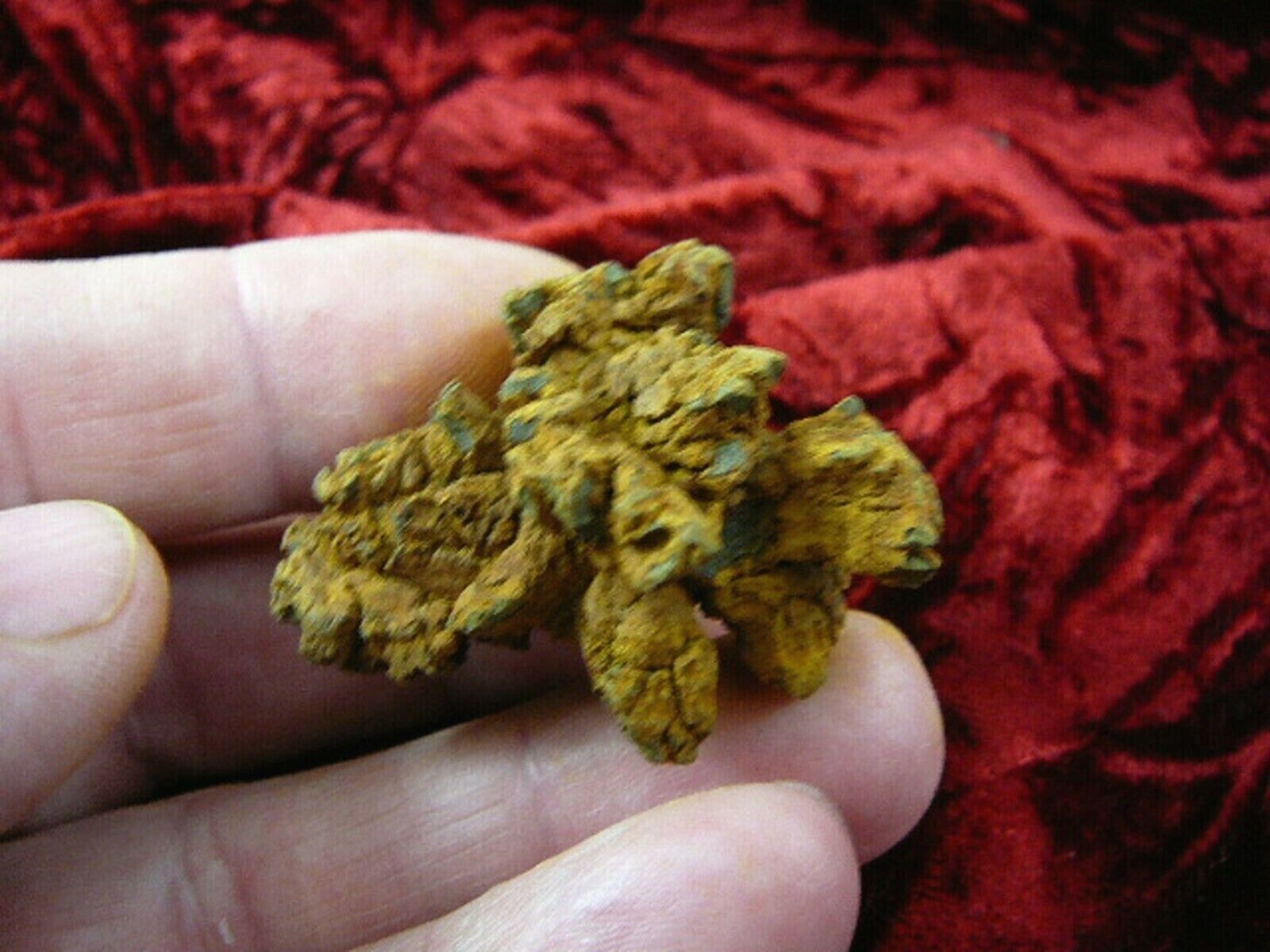 (PP280-88) 7/8" Genuine Fossil Turtle Poop and similar items