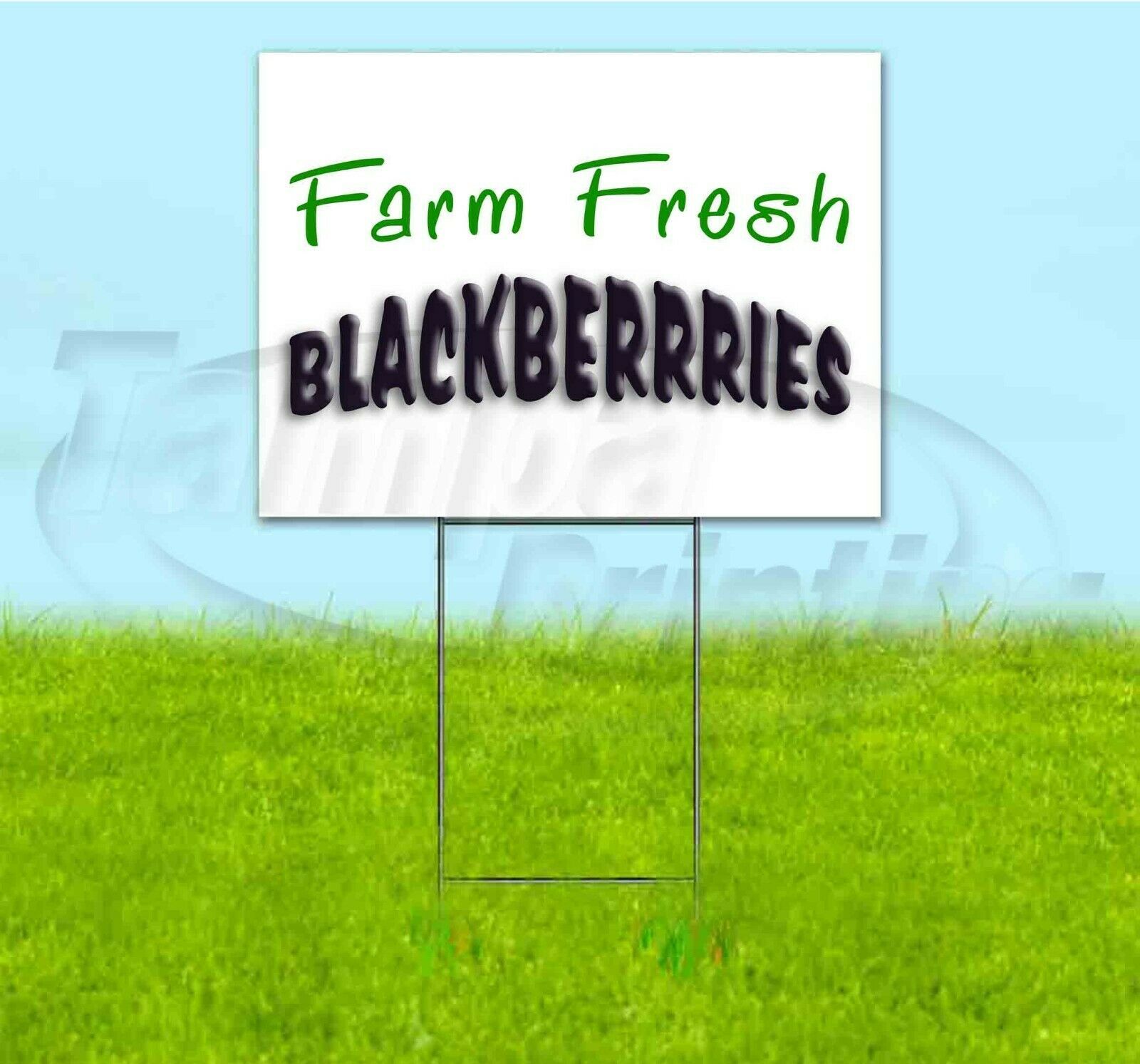 FARM FRESH BLACKBERRIES 18x24 Yard Sign WITH STAKE Corrugated Bandit ...