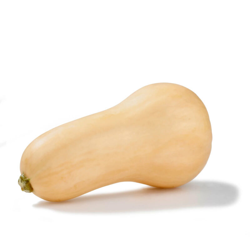Best Butternut Squash 10 Vegetable Seeds - - Seeds & Bulbs