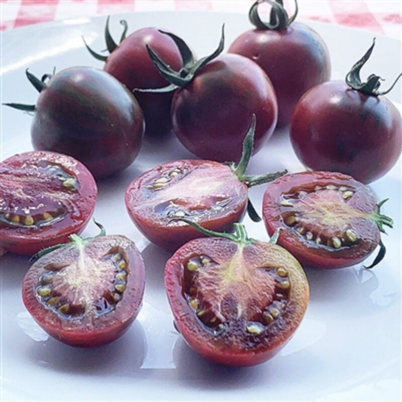 BRN 50 Seeds Voilet Jasper Tomato Tomatoe Vegetable Edible Food Fresh ...